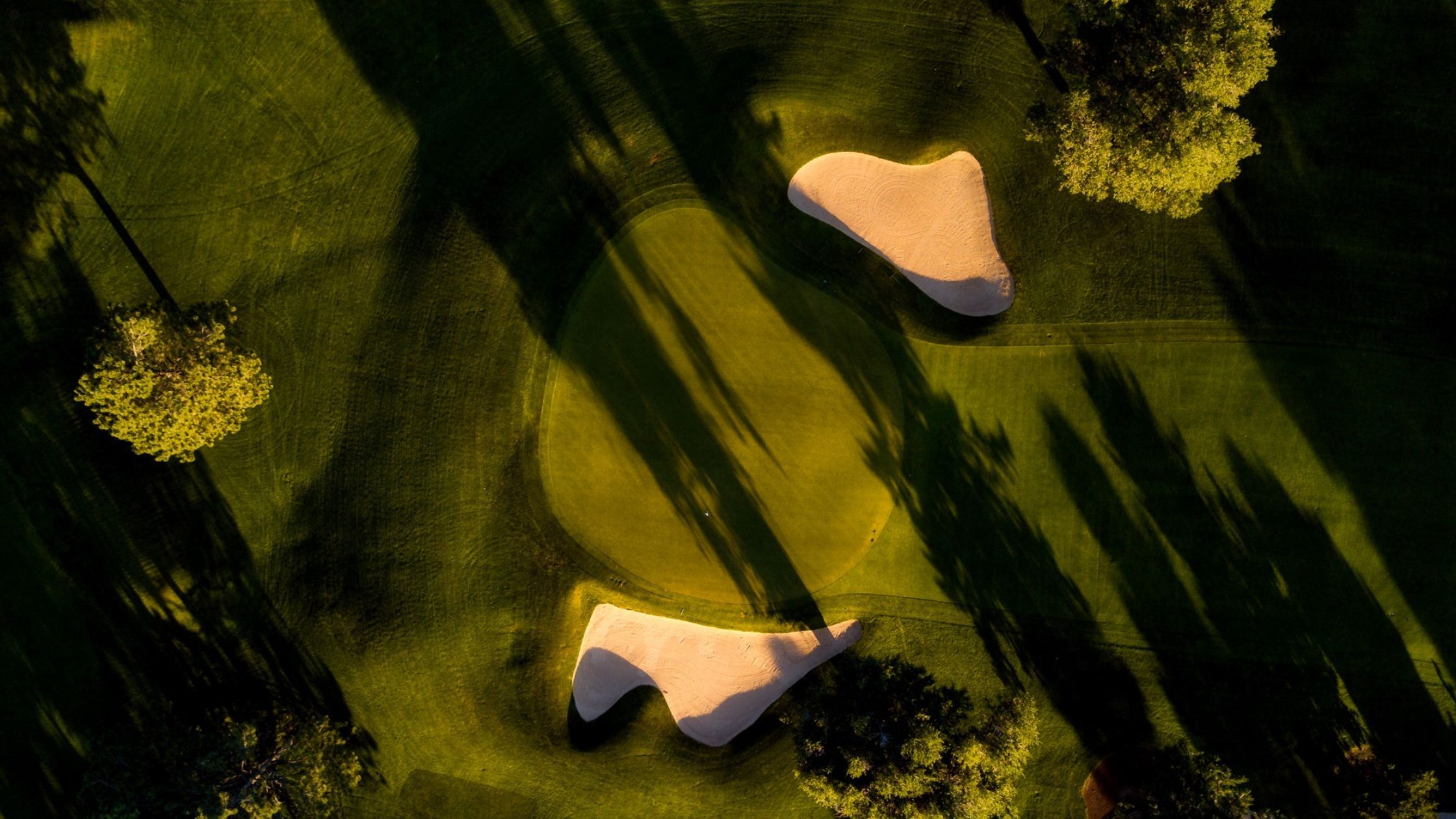 OmniCo Golf | Building Wealth Through Golf